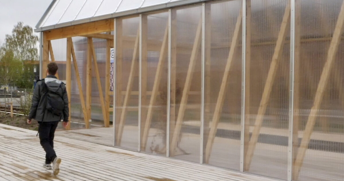 How the Global Environment and the Quality of Life is Connected, Sinus ...